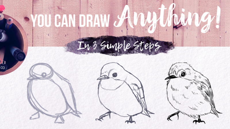 You Can Draw Anything in 3 Simple Steps Online Course